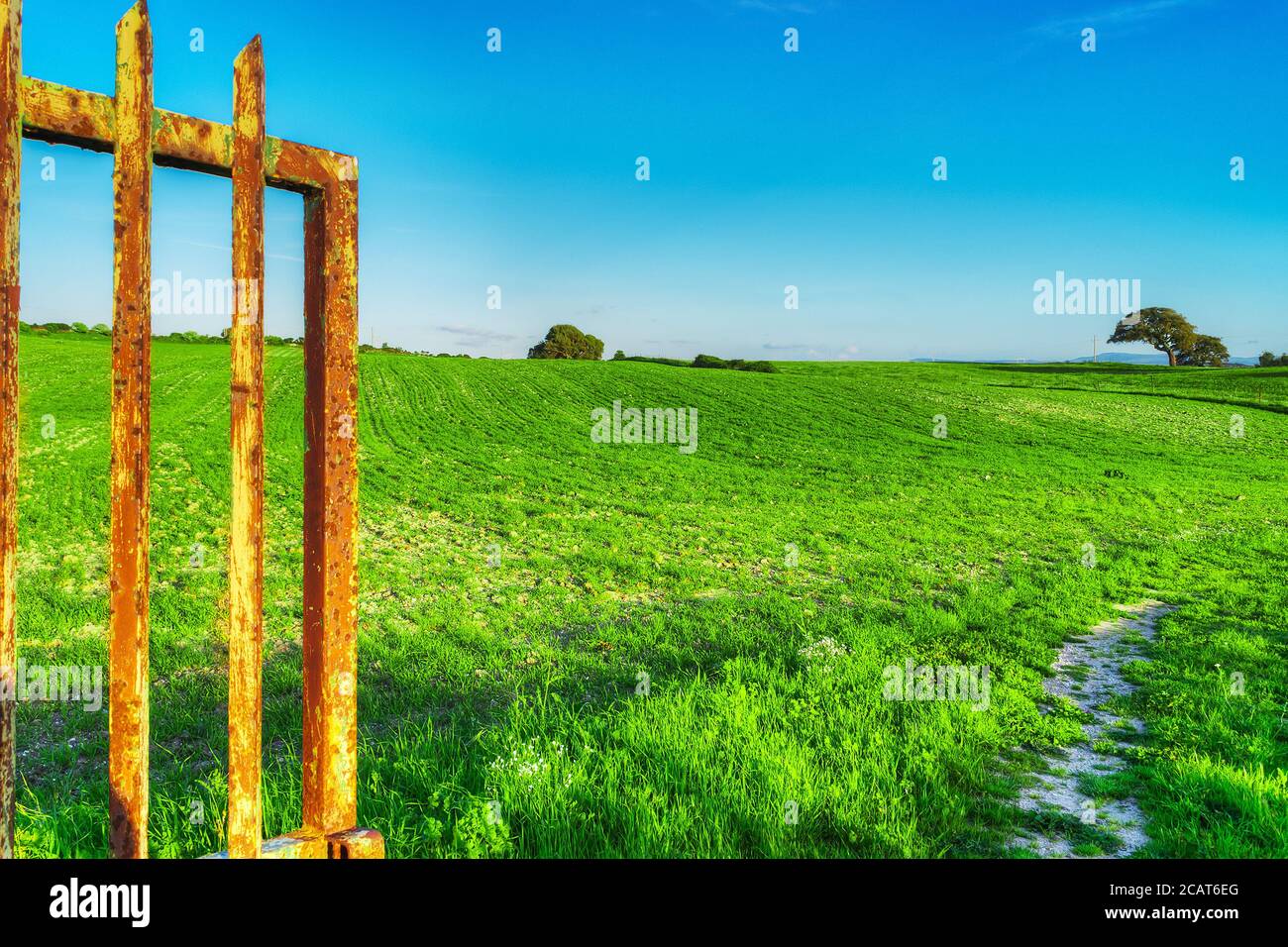 old metal gate in a green meadow Stock Photo - Alamy