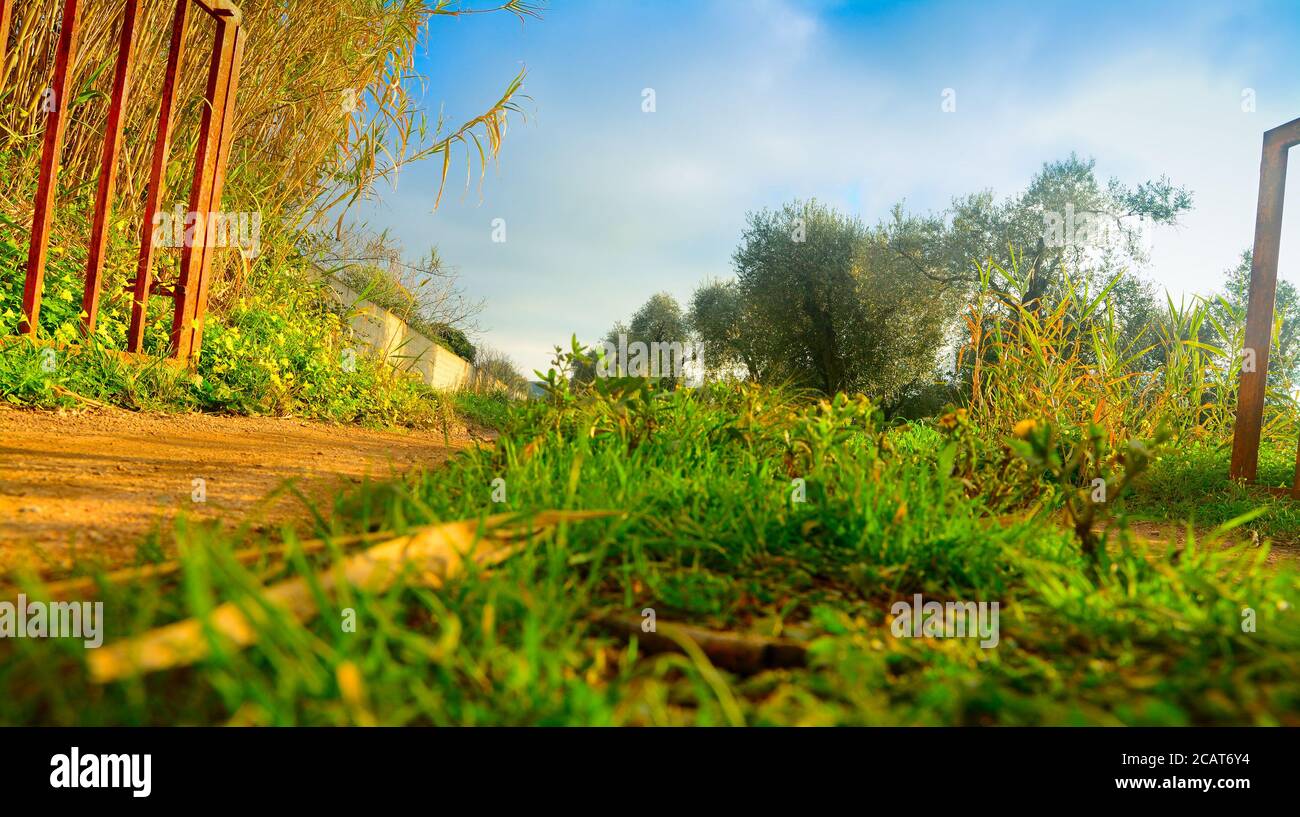 dirt path seen from the ground at sunset Stock Photo - Alamy