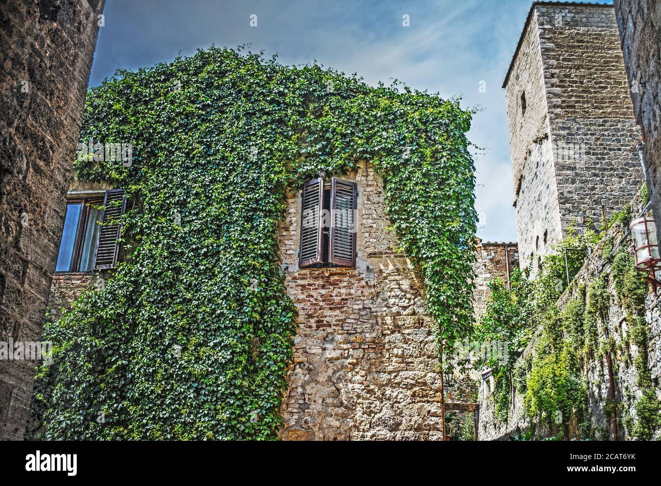 ivy plants on an old house in San Gimignano, Italy Stock Photo - Alamy