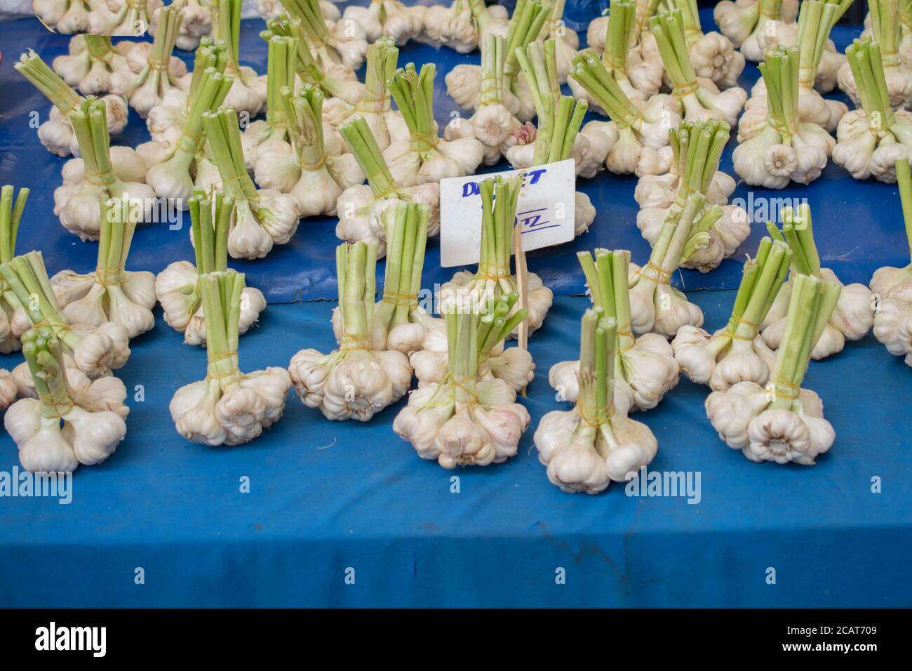 Bunch of garlic bulbs at the market place Stock Photo - Alamy