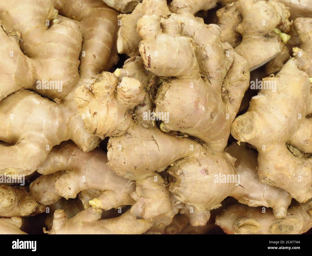 Freshly harvested ginger hi-res stock photography and images - Alamy