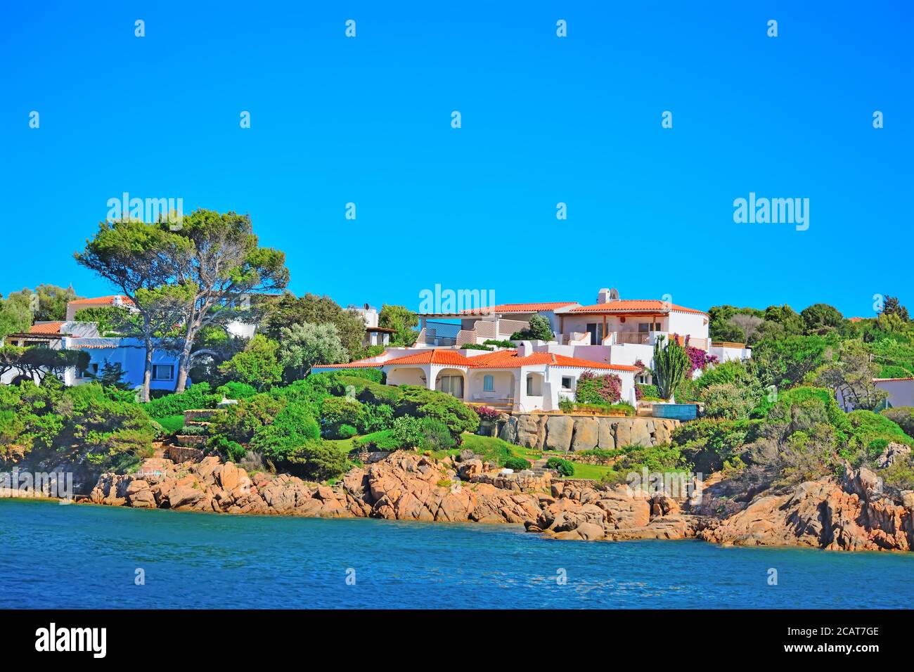Cervo real hi-res stock photography and images - Alamy