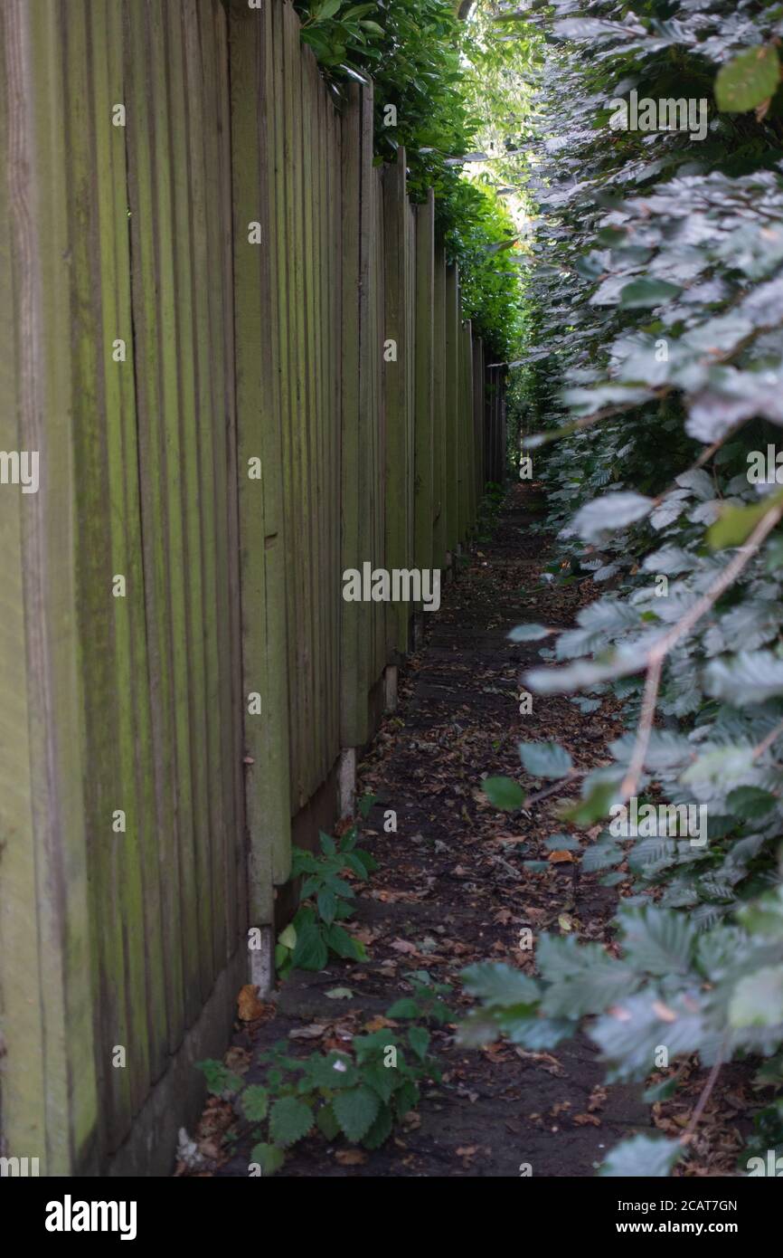 Dark alleyway hi-res stock photography and images - Alamy