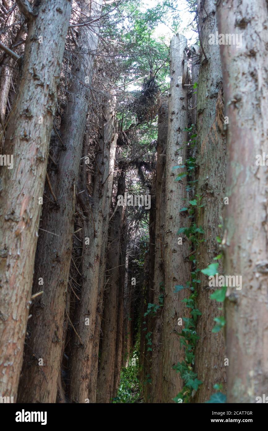 Tight rows hi-res stock photography and images - Alamy