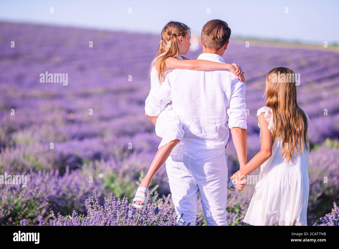 Lavender family hi-res stock photography and images - Alamy