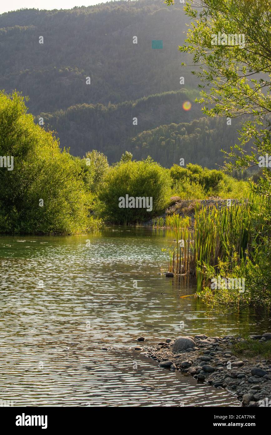 Amazon Forest River Mist High Resolution Stock Photography and Images ...