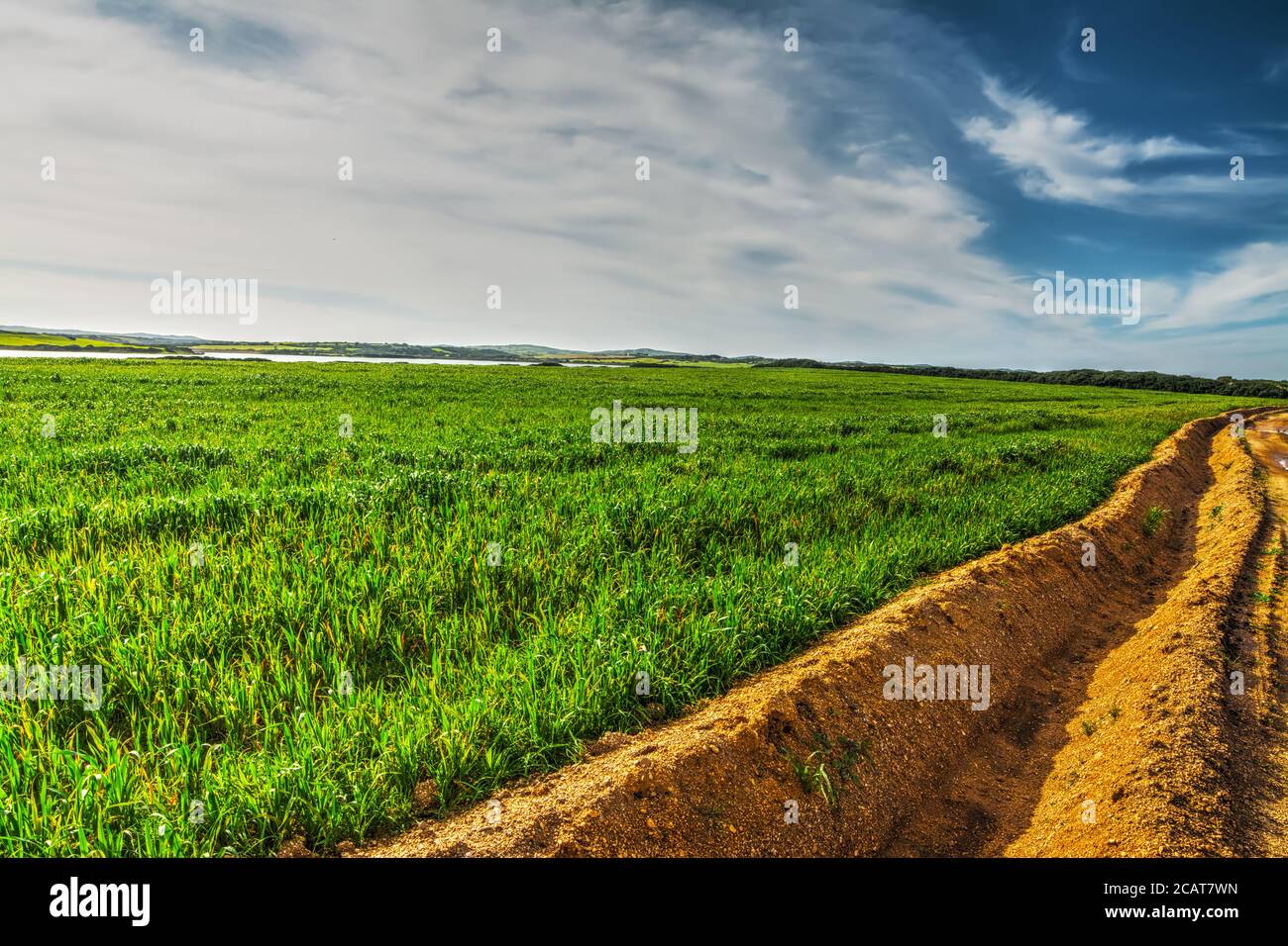 Furrowed field and blue sky hi-res stock photography and images - Alamy