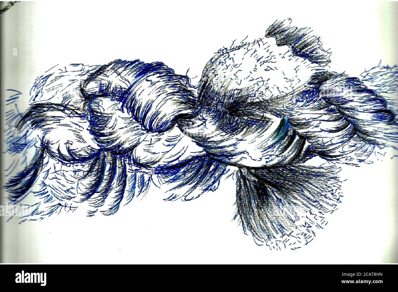 Rope knot drawing hi-res stock photography and images - Alamy