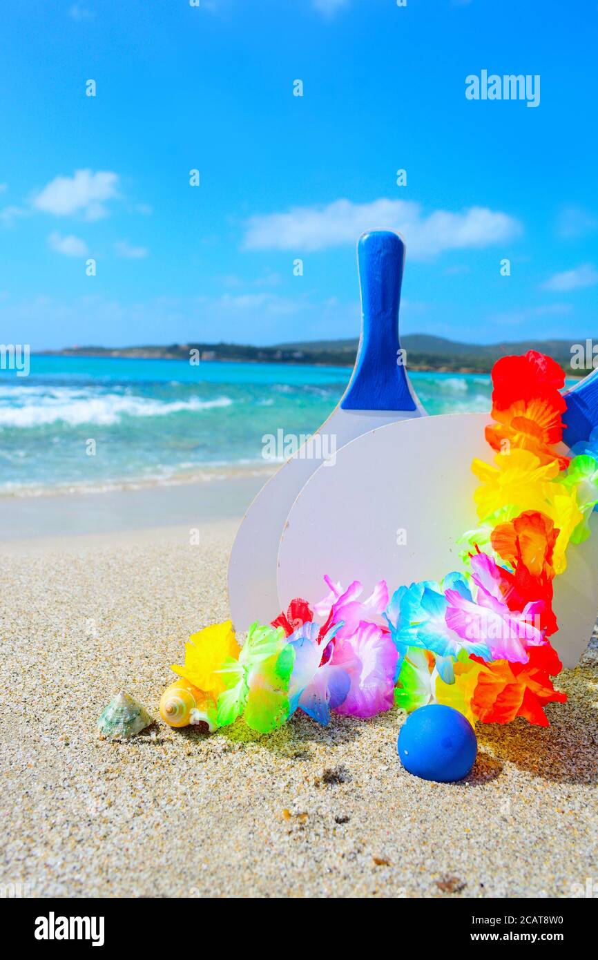 beach rackets and shells on a tropical beach Stock Photo - Alamy