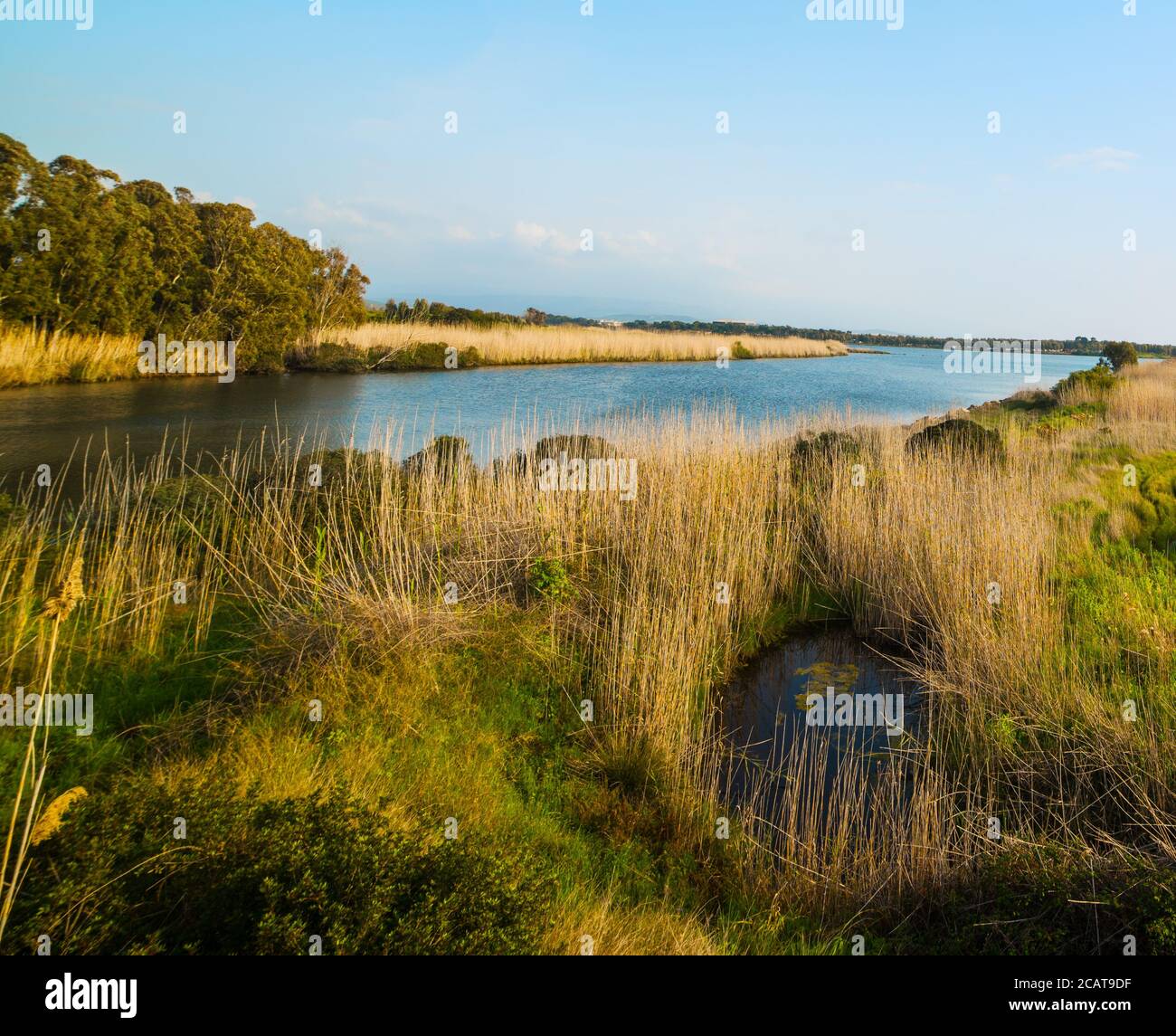 Calik hi-res stock photography and images - Alamy