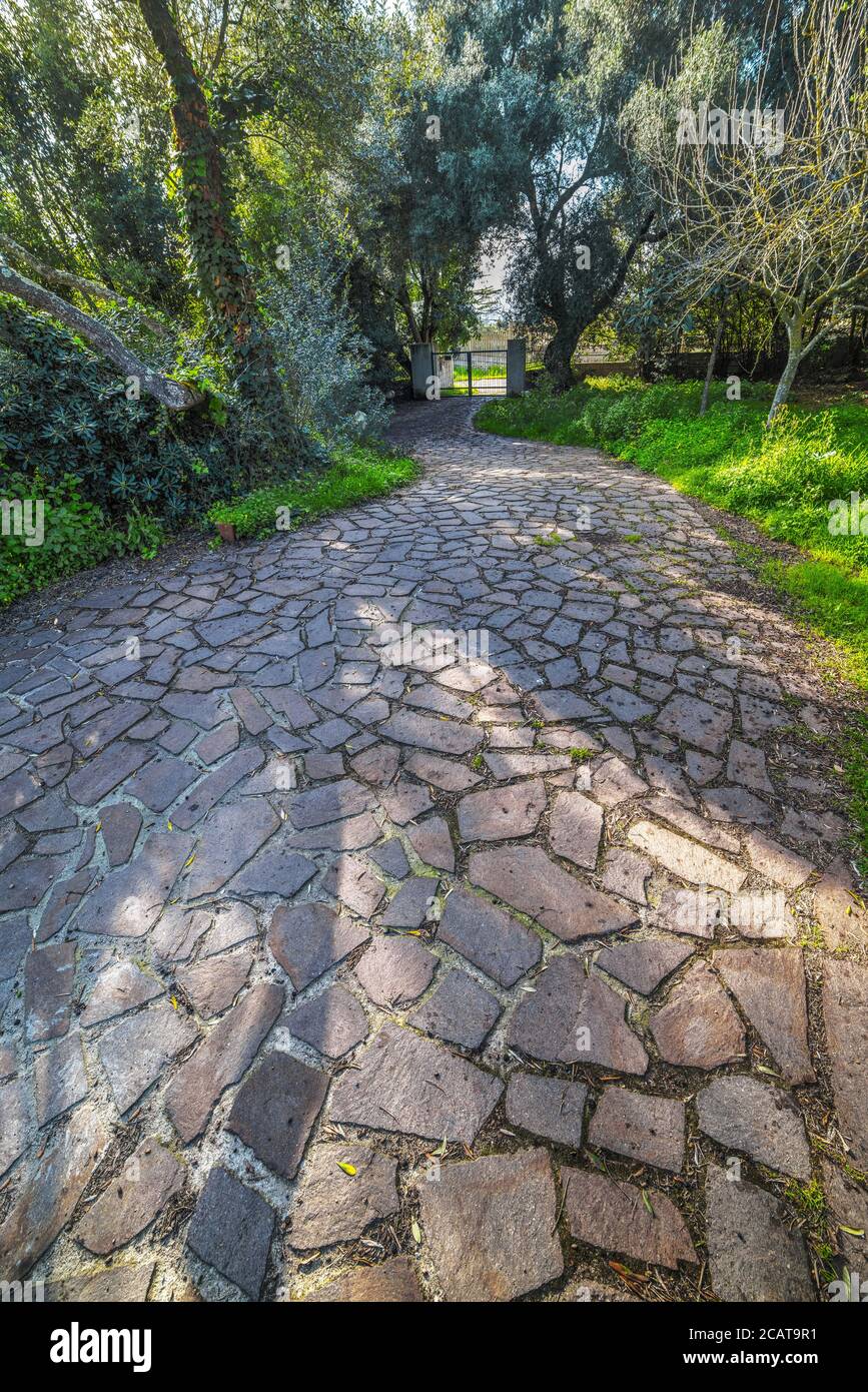 walk path and trees in a residential garden Stock Photo - Alamy