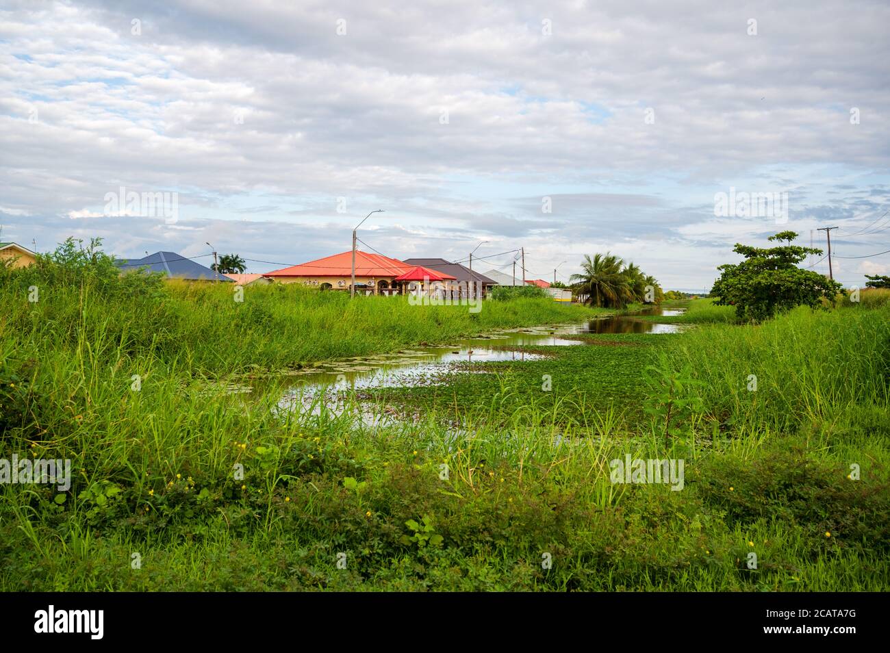 Canal in the northern suburb of capital city Paramaribo in Suriname ...
