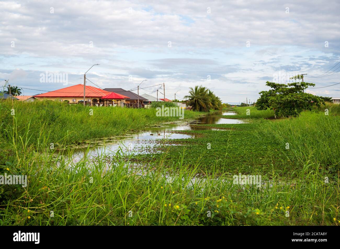 Canal in the northern suburb of capital city Paramaribo in Suriname ...