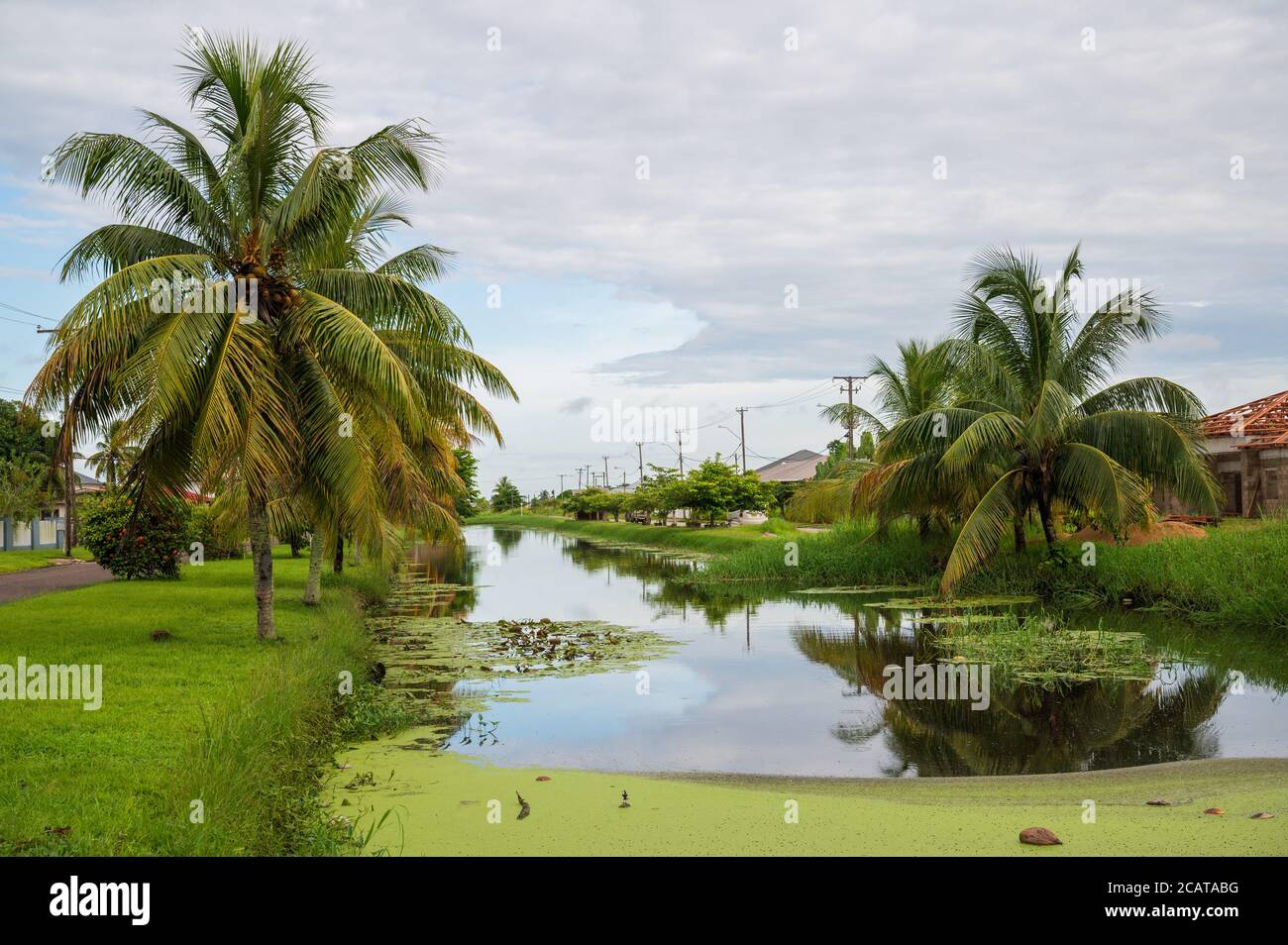 Canal in the northern suburb of capital city Paramaribo in Suriname ...