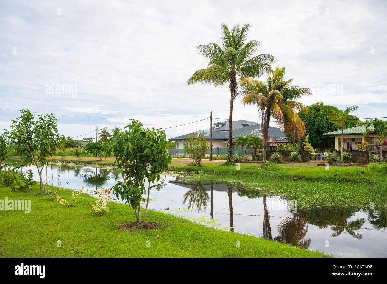 Canal in the northern suburb of capital city Paramaribo in Suriname ...