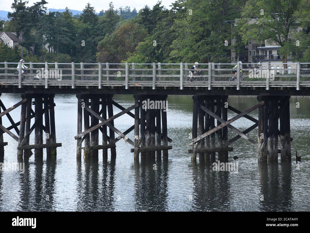 Selkirk trestle hi-res stock photography and images - Alamy