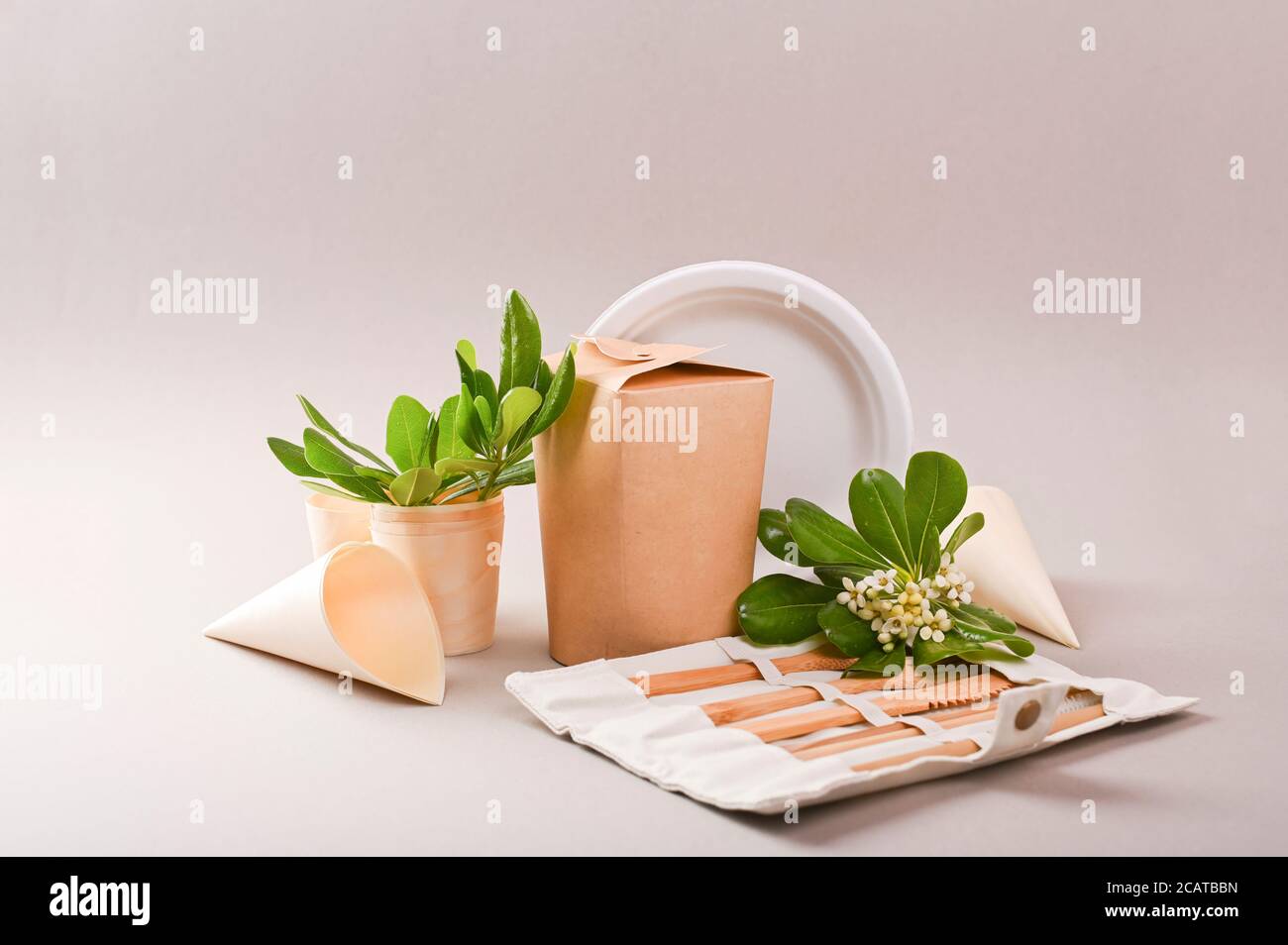Paper dishes, craft design for fast food, catering, takeaway. The ...