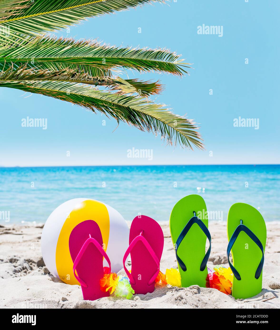 Palm tree on flip flops hi-res stock photography and images - Alamy