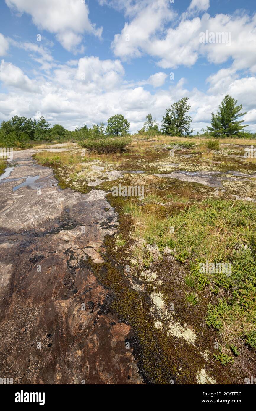Bedrock texture hi-res stock photography and images - Alamy
