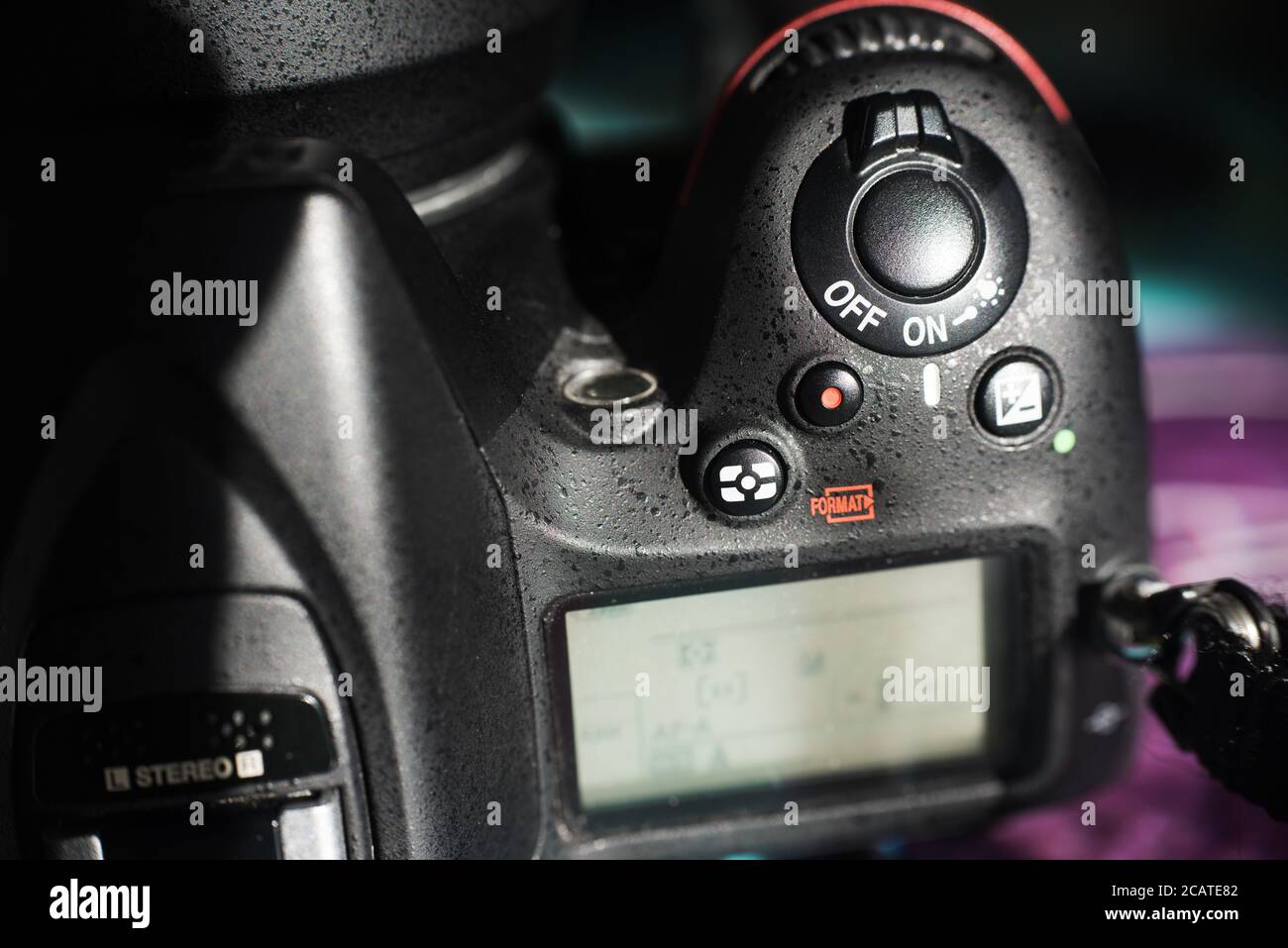 Press the shutter release button hi-res stock photography and images ...