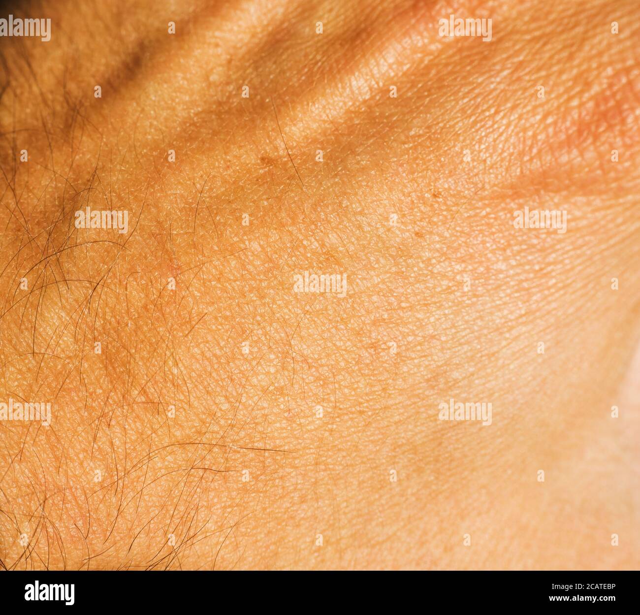 close up of a man back hand Stock Photo - Alamy