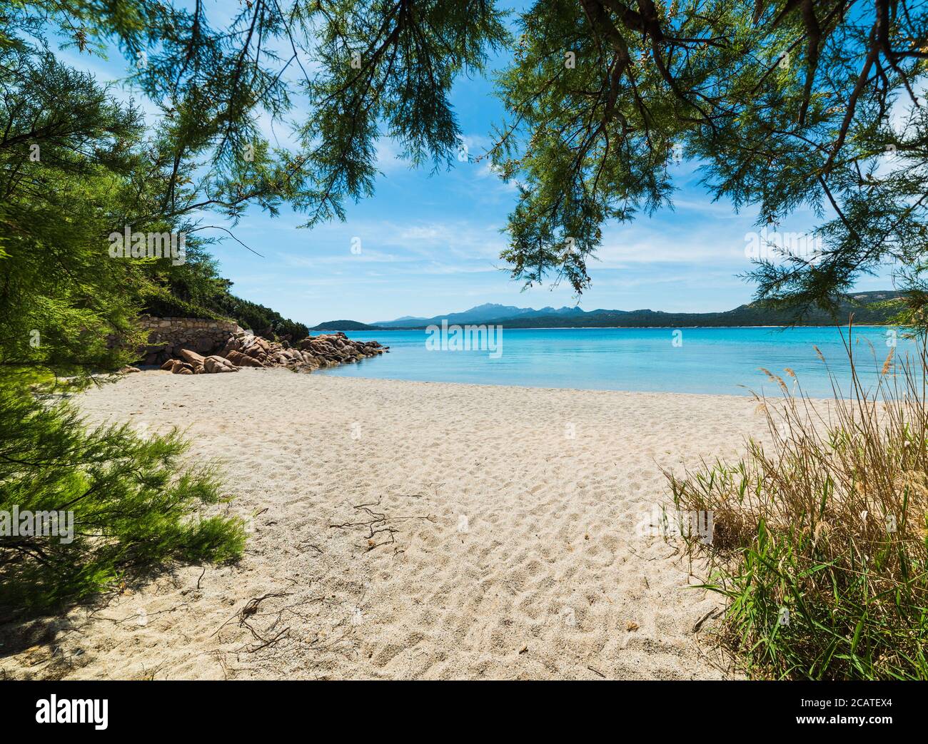 Celvia hi-res stock photography and images - Alamy