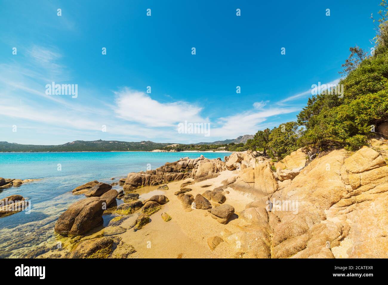 Celvia hi-res stock photography and images - Alamy