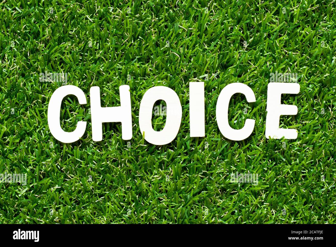 Wood alphabet letter in word choice on green grass background Stock ...