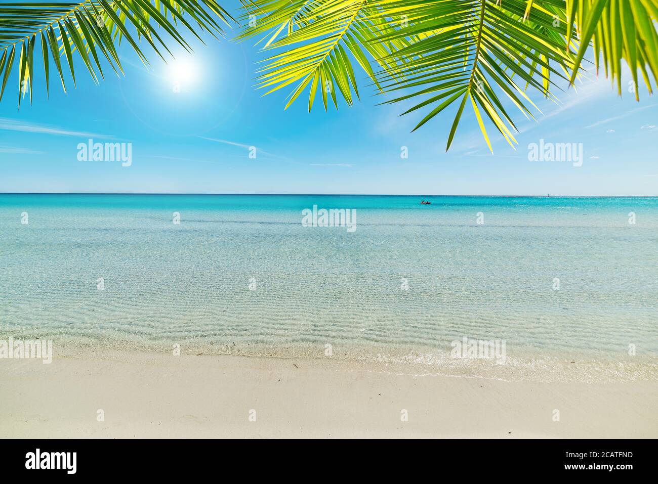 tropical beach under a shining sun Stock Photo - Alamy