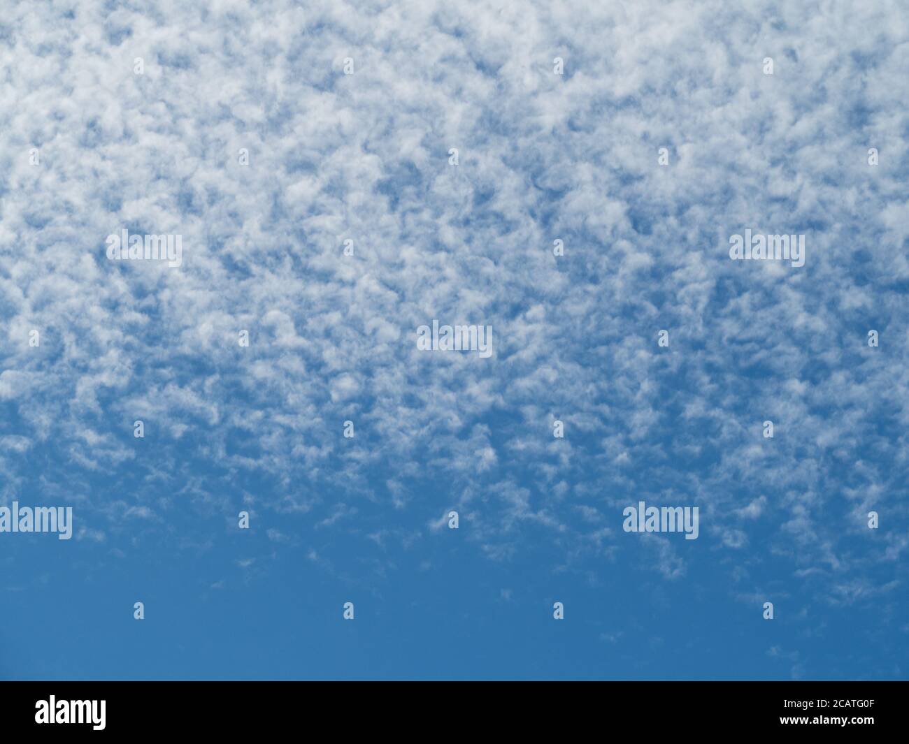 weather, fluffy squiggly white Altocumulus clouds, filtering down to blue sky, natural patterns ...