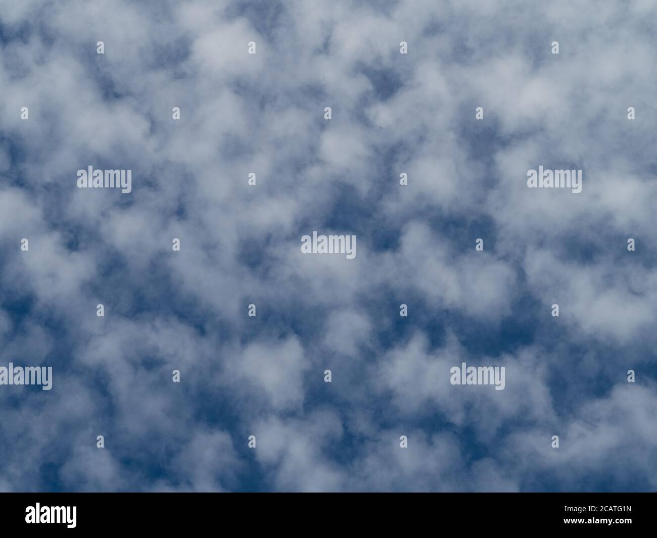Weather, Cirrocumulus clouds, like a mass of white fluffy cotton wool ...