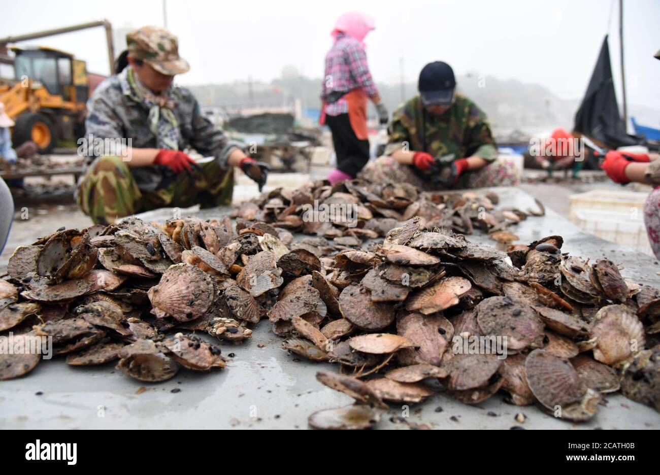 Yuan scallops hi-res stock photography and images - Alamy