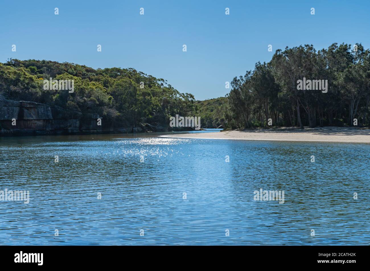 Australian bush background hi-res stock photography and images - Alamy
