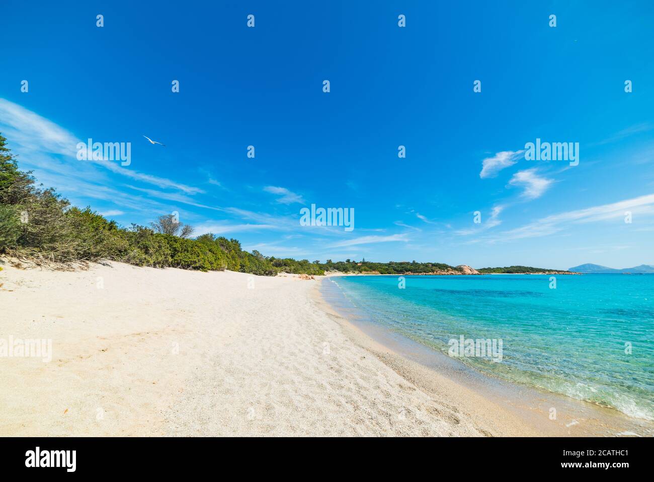 Celvia beach hi-res stock photography and images - Alamy