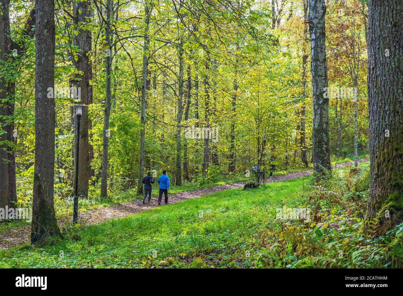 People walking on a path in a park Stock Photo - Alamy