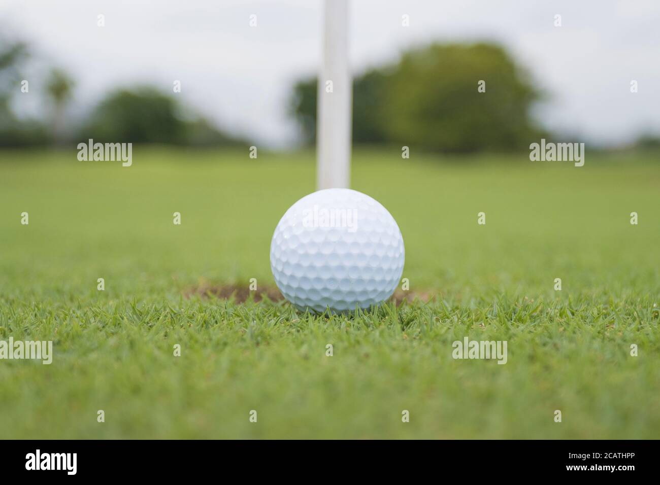 Golf ball on grass in golf course infront of the green Stock Photo - Alamy