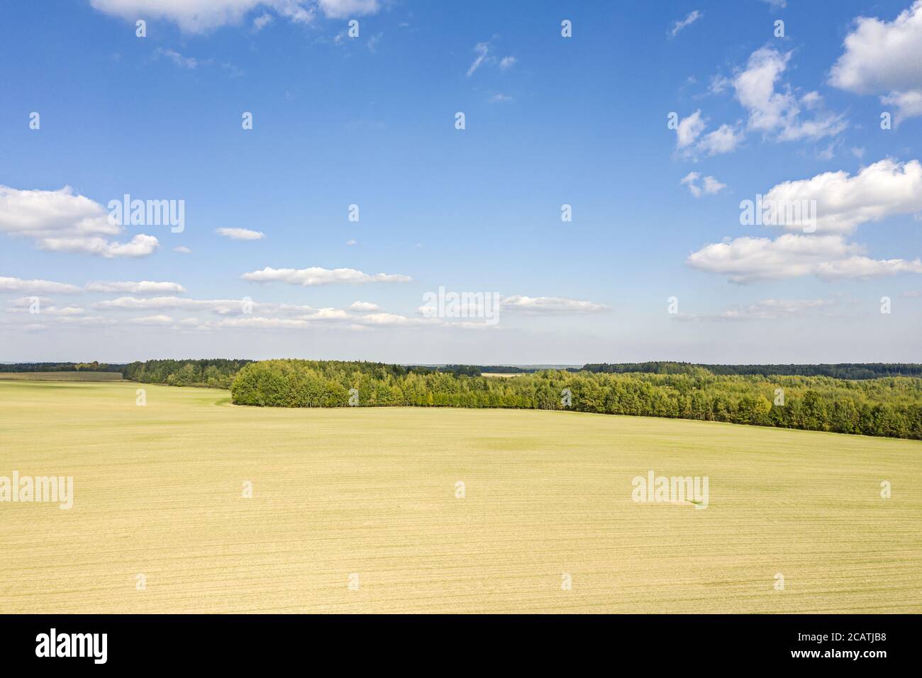 countryside fields landscape under blue sky with fluffy clouds on ...