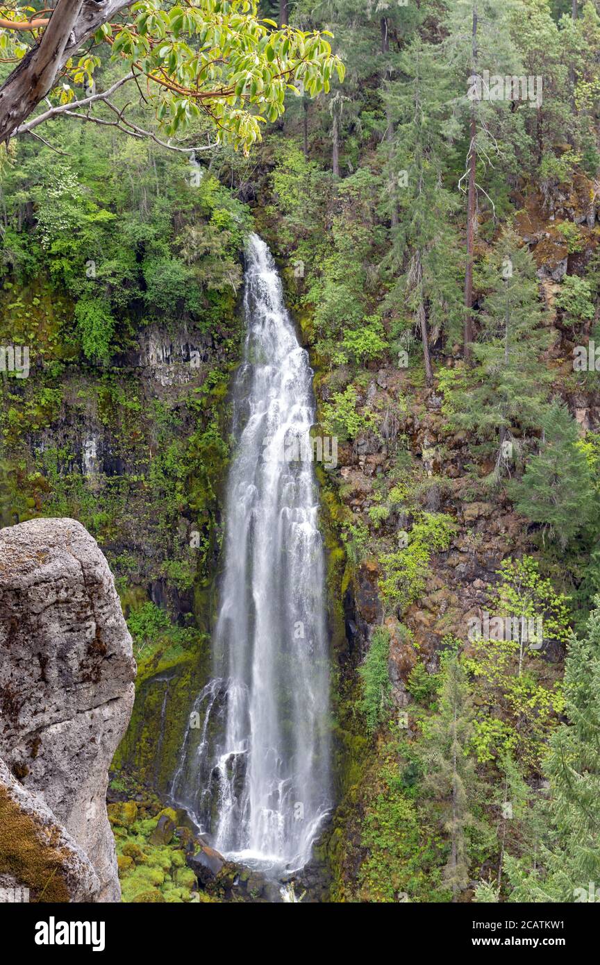 Barr Creek Falls flows into the canyon at Prospect State Park, Oregon ...