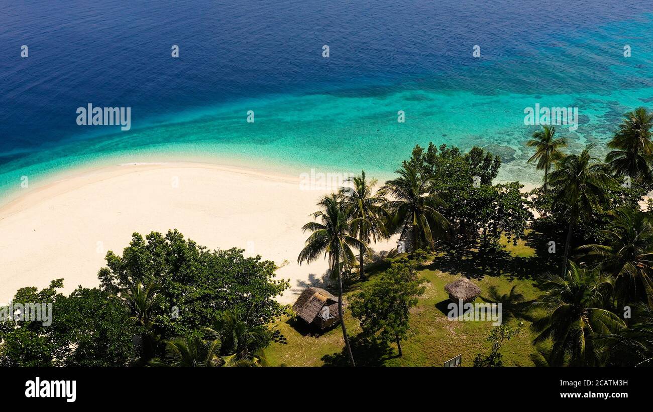 Tropical island with a beach and palm trees. Beautiful lagoon and white ...