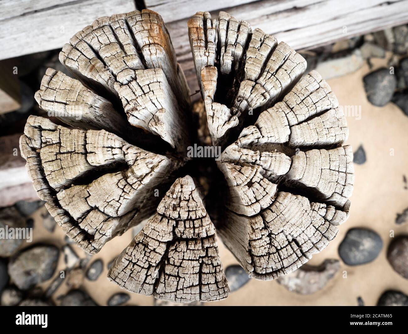 Old weathered wooden post at the beach Stock Photo - Alamy