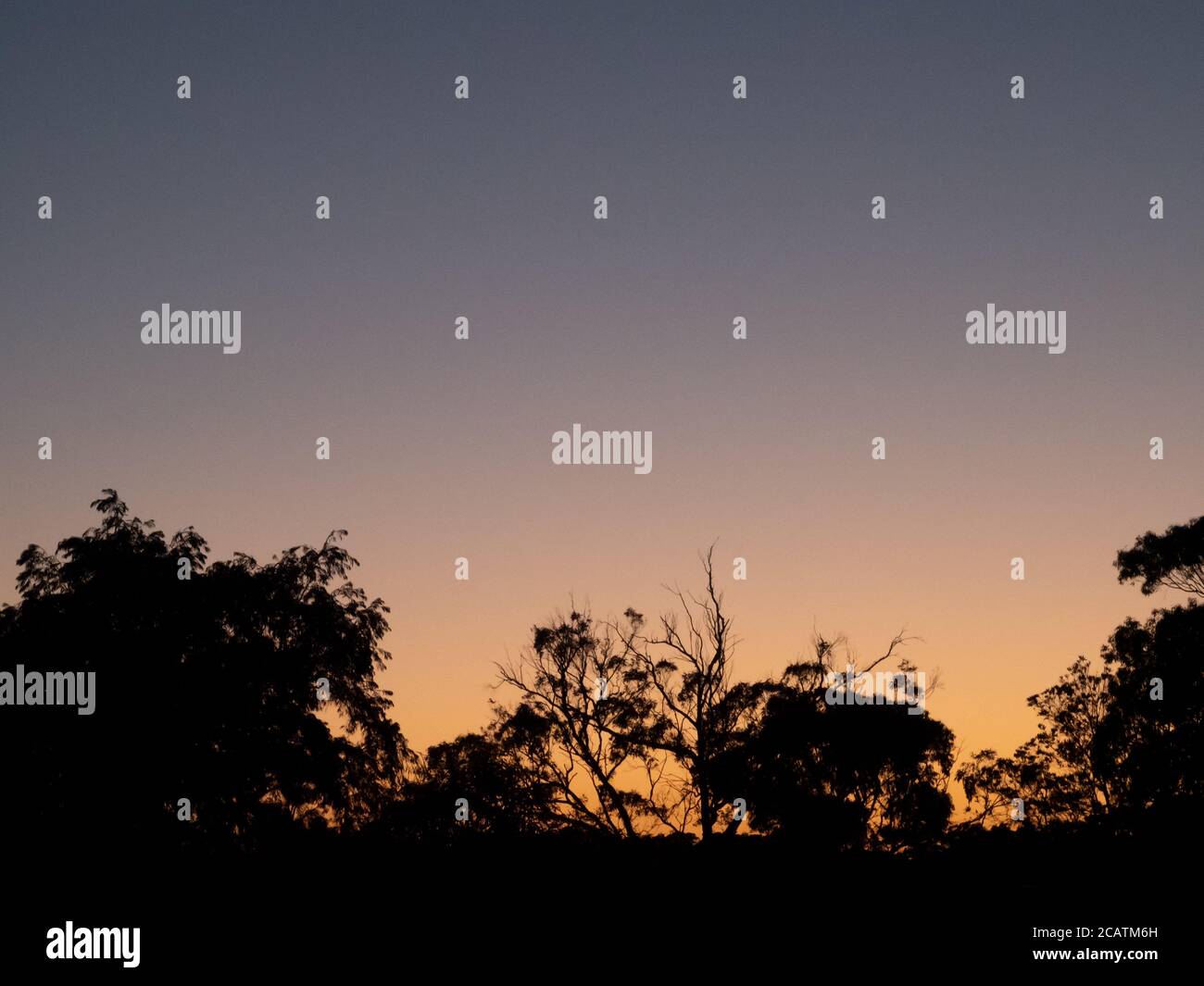 Sunrise over tree tops Stock Photo - Alamy