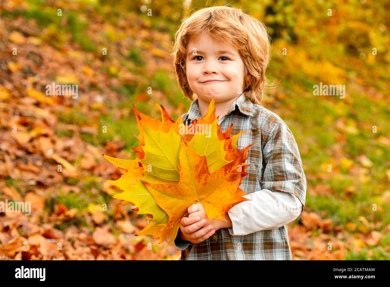 Autumn portrait of cute little caucasian boy Stock Photo - Alamy
