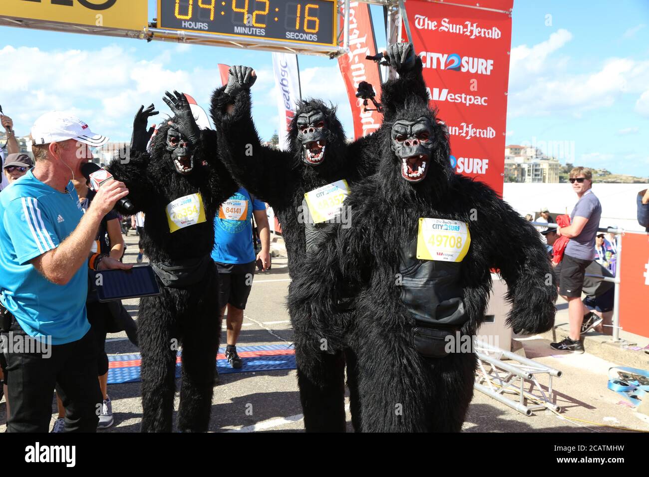 People in gorilla costumes at the end of the 2016 City2Surf fun run ...