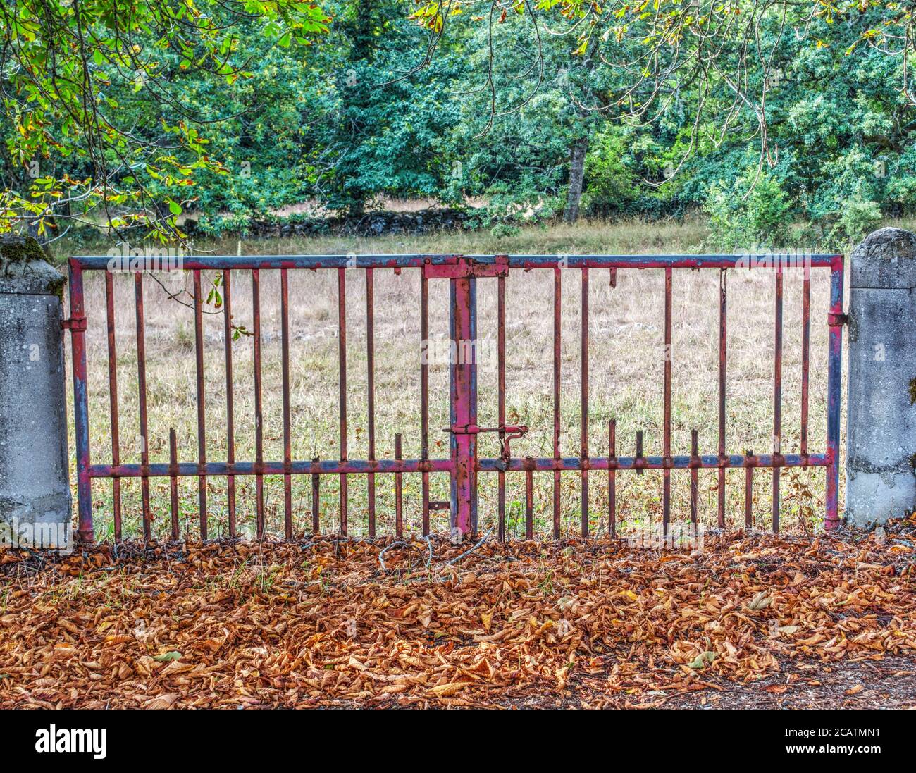 old metal gate in the countryside Stock Photo - Alamy