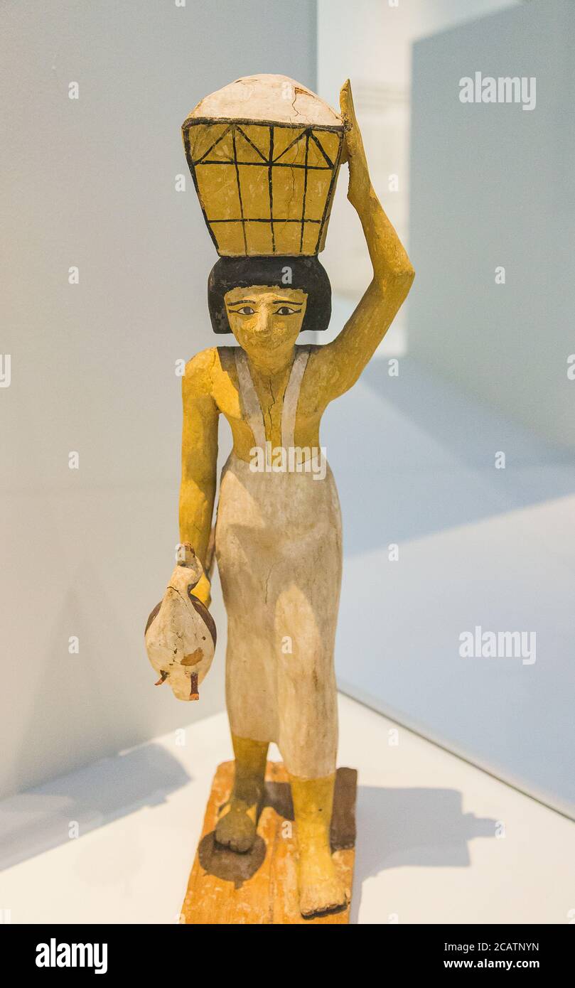 Egyptian sycamore hi-res stock photography and images - Alamy