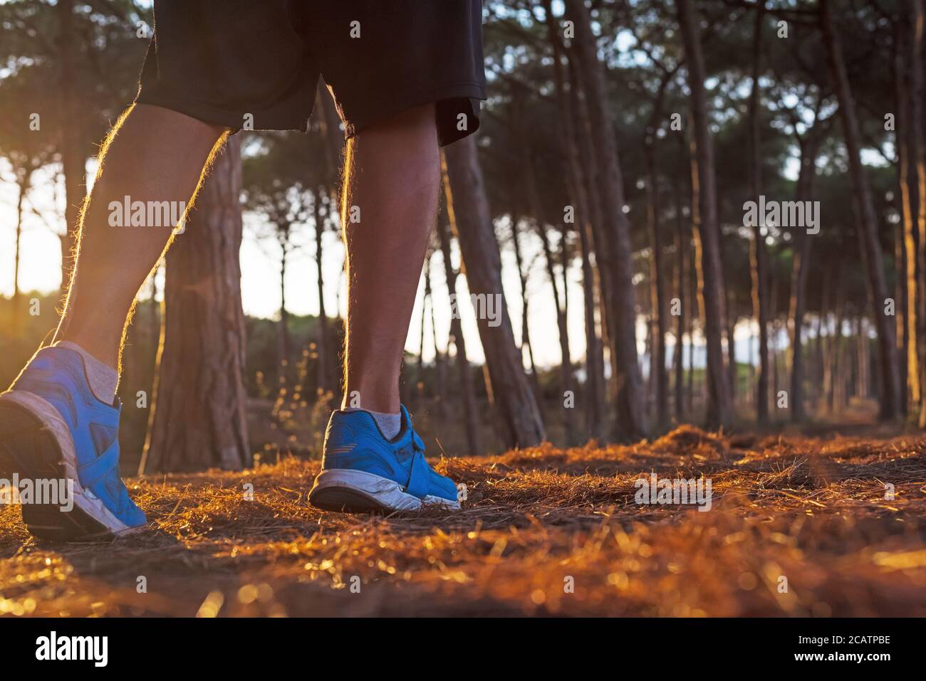 Running shoe silhouette sport hi-res stock photography and images - Alamy
