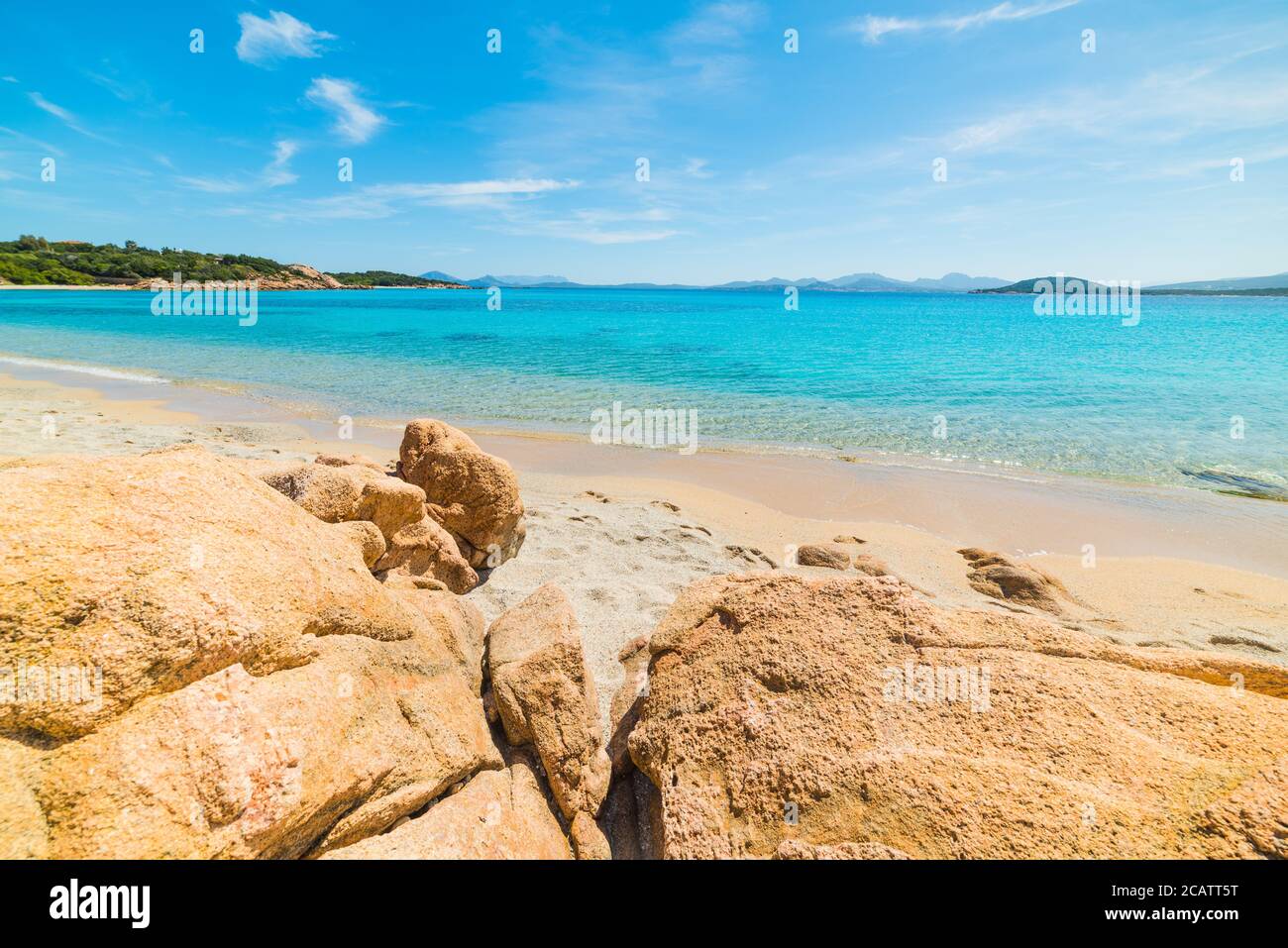 Celvia hi-res stock photography and images - Alamy