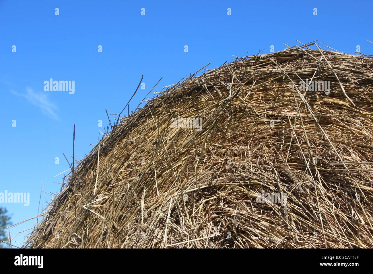 Hay bail harvesting in golden field landscape under clear blue sky ...