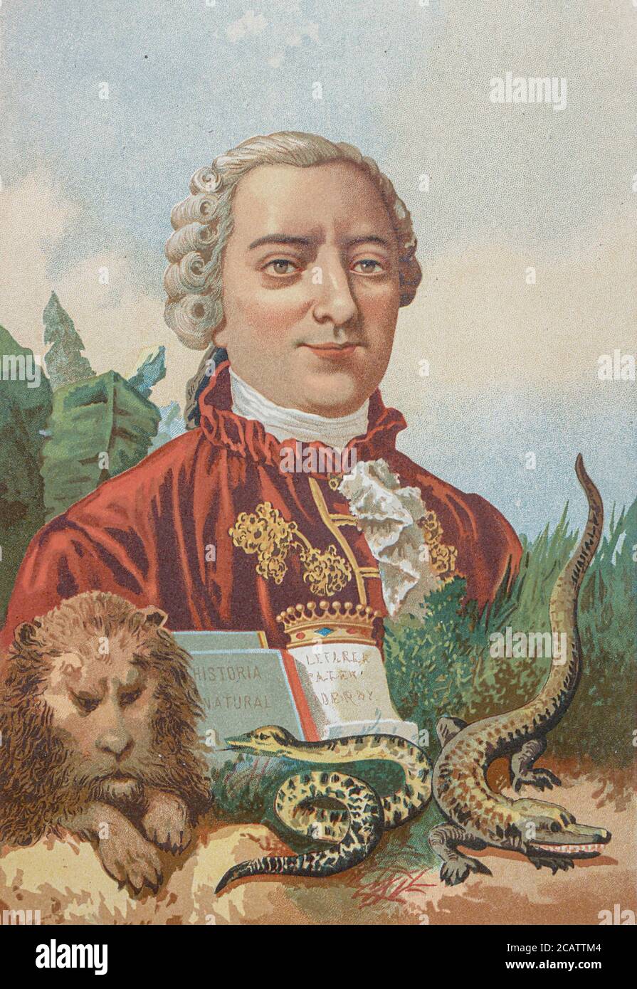 Georges louis leclerc de buffon hi-res stock photography and images - Alamy