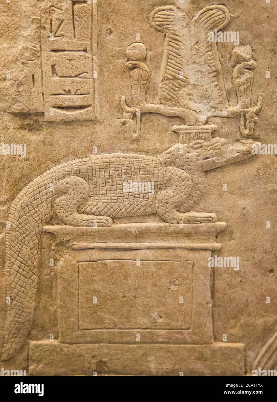 Exhibition "The animal kingdom in Ancient Egypt", organized in 2015 by ...